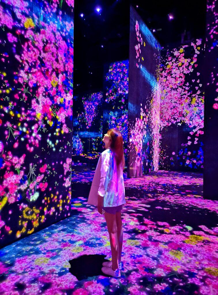 teamLab x Taipa Village Macau Summer Promotion Offer - Taipa Village